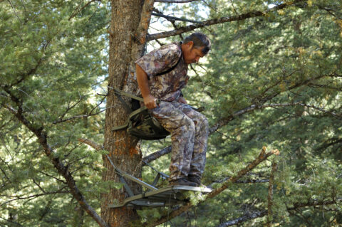Tree Stand Injury Lawsuit | Tree Stand Lawyer, Attorney