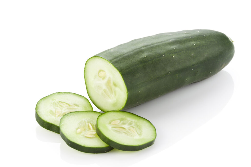SunFed® Cucumber Recall Lawsuit | Salmonella Lawyer, Attorney